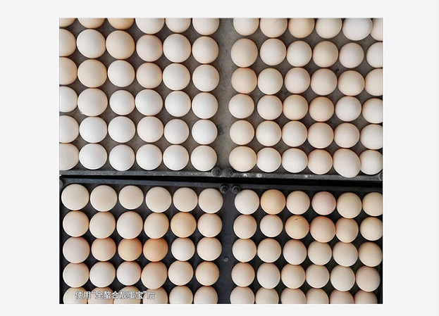 Chelota Chelatrix Layer C5232k Granular Form For Feed Additives Upgrade ...