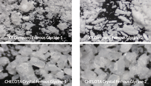 High Nutrient Concentration Crystal Ferrous Glycine Chelated Trace Minerals