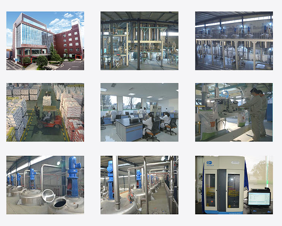 Chelota Anti Bacteria Zinc Oxide Zincostar For Feed Additives