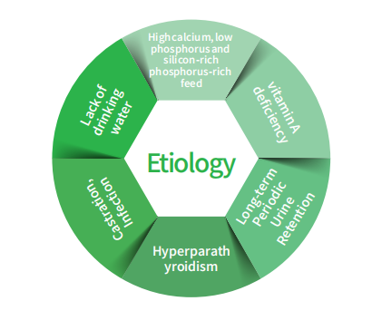 Ruminant Universal Compound Premix Feed Licking Brick LU-100 Cattle And ...