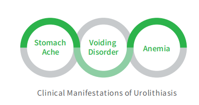 Ruminant Universal Compound Premix Feed Licking Brick LU-100 Cattle And ...