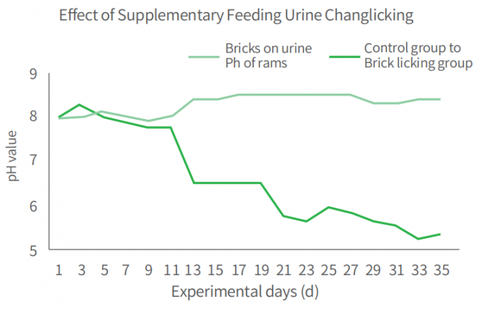 Ruminant Universal Compound Premix Feed Licking Square Block LU-100