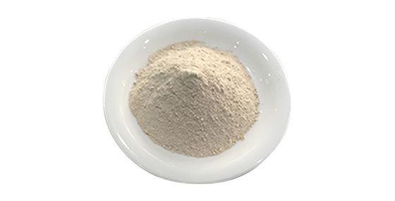 GMP Magnesium Oxide MgO Oxide Powder For Cattle Sheep